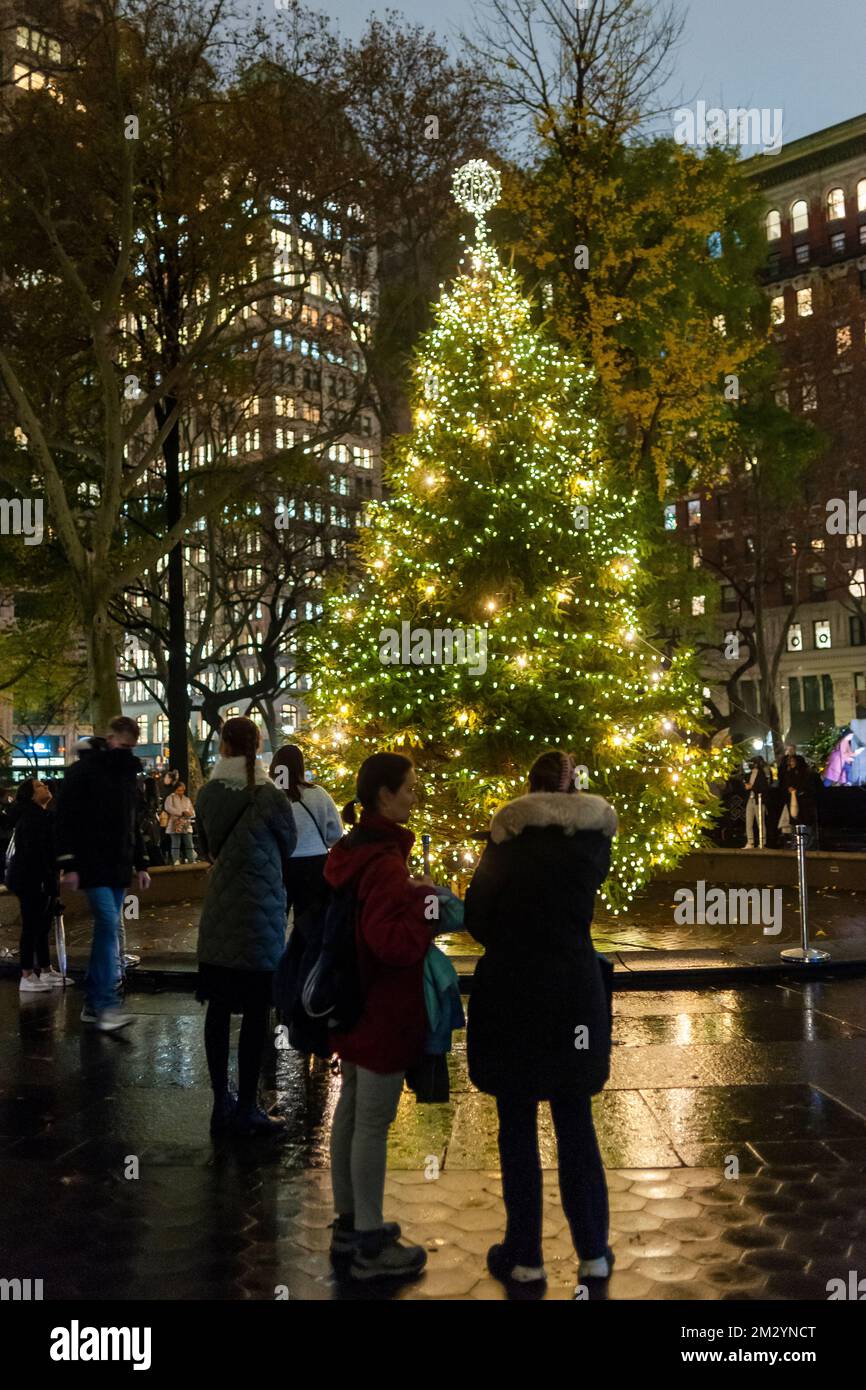 The Madison Square Park Christmas Tree In New York on Wednesday ...