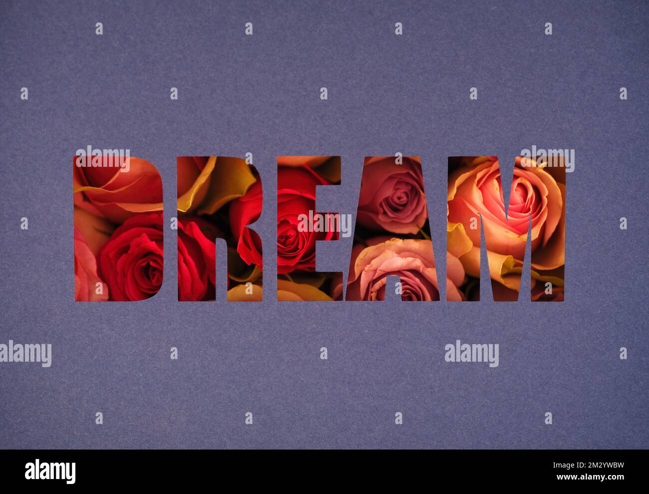 The word Dream cut out of a violet piece of paper with roses visible ...