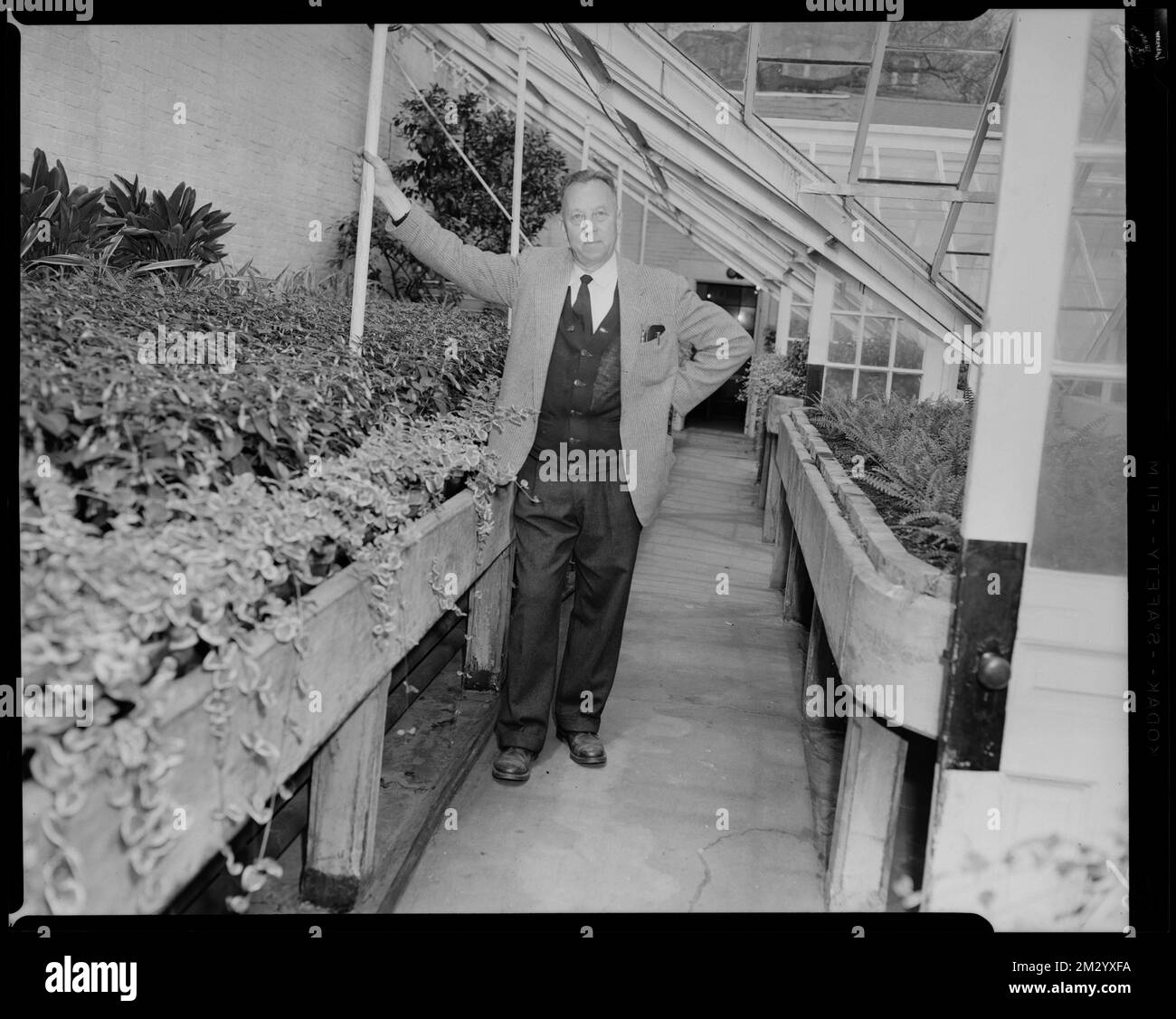 Forest Hill Cemetery employees. Charles H. Fox , Greenhouses, Plants ...