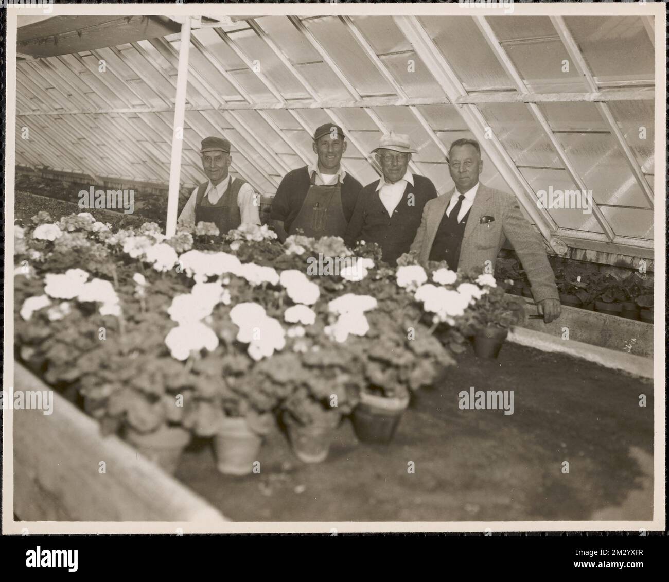 Forest Hill Cemetery employees. [Charles H.] Fox, [Daniel] Campagna ...