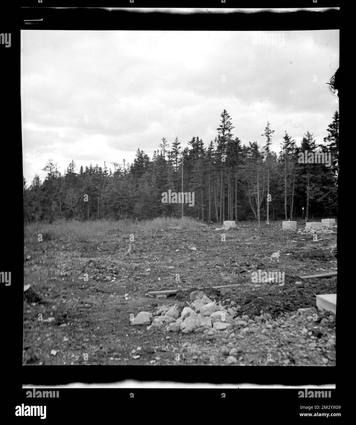 Forest , Forests. Photographs of the First Naval District Stock Photo ...