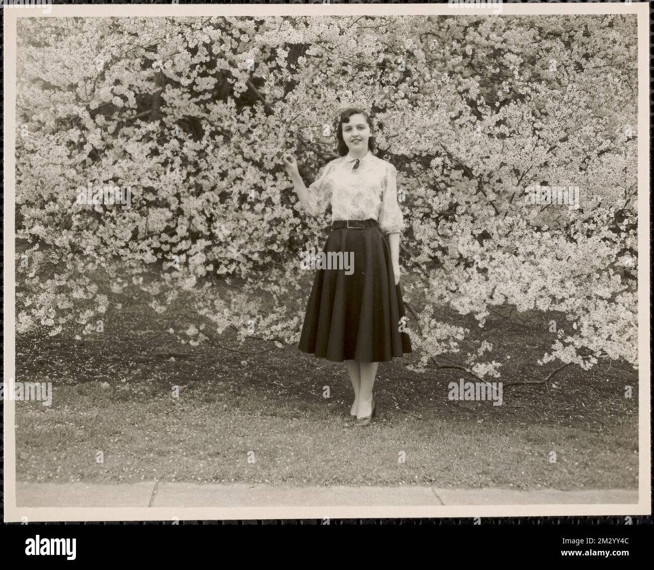 Helen cherry hi-res stock photography and images - Alamy