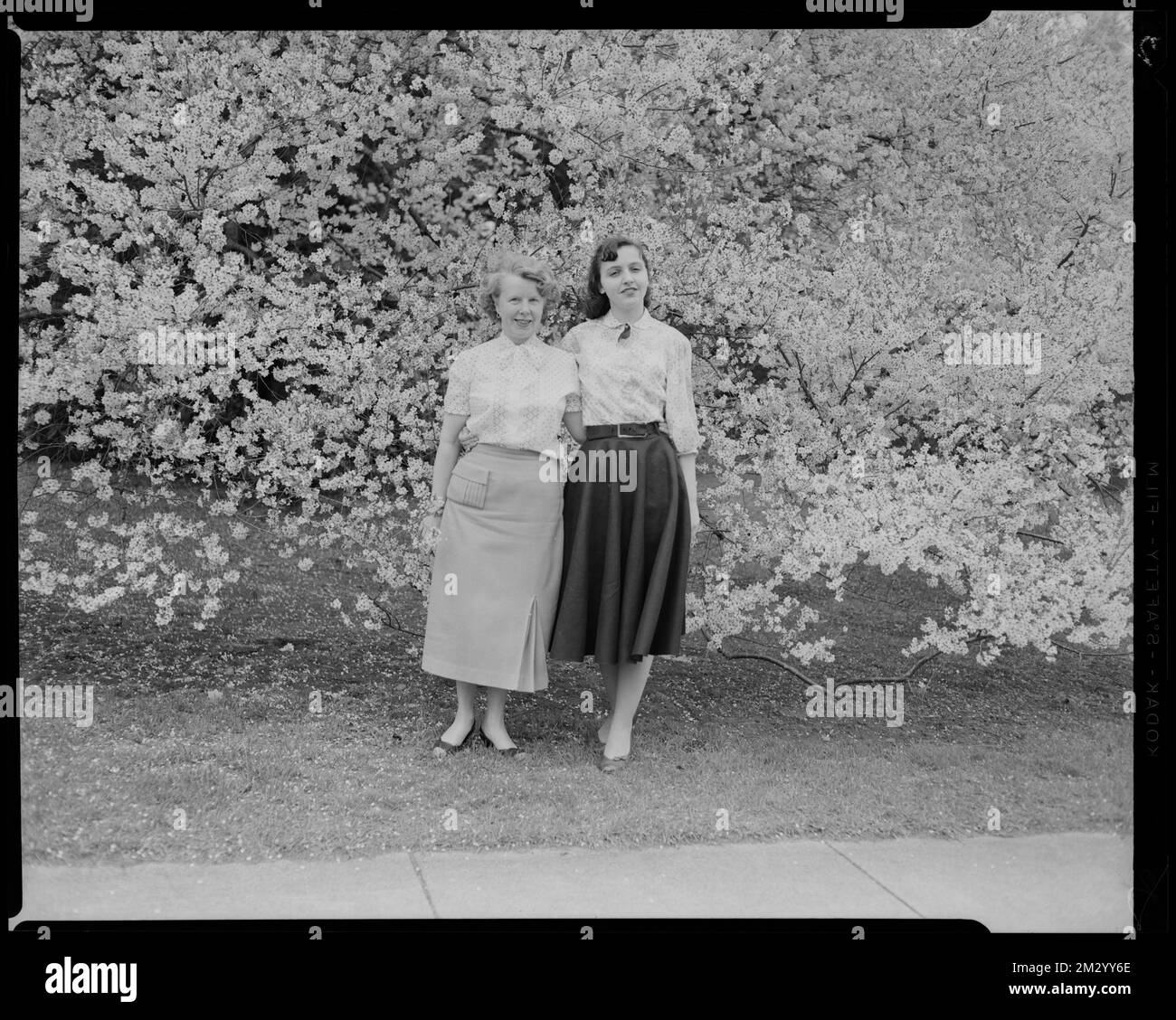 Forest Hill Cemetery employees. Janet R. Nuccia and Helen C. Donovan ...