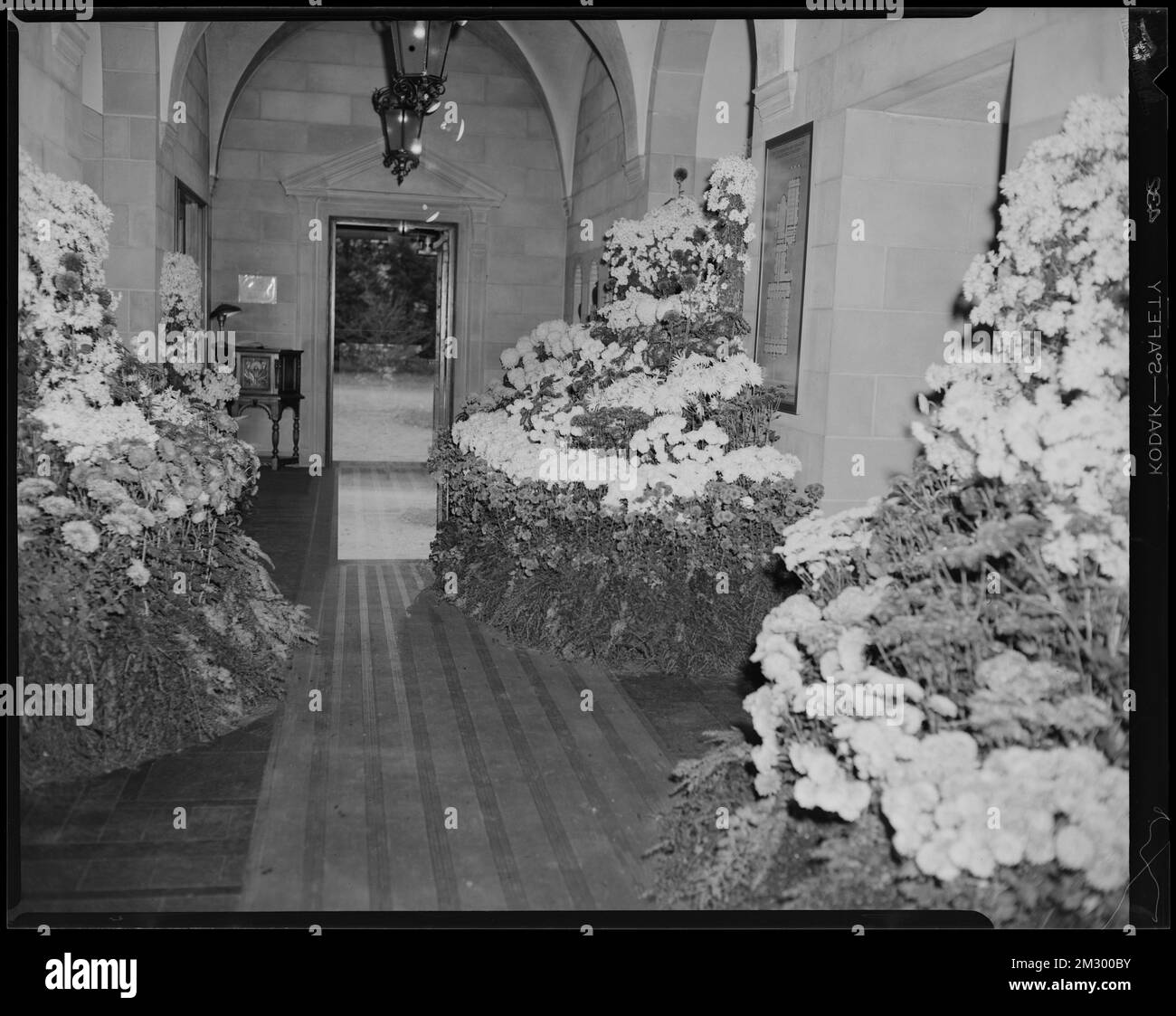 Burial forest Black and White Stock Photos & Images - Alamy