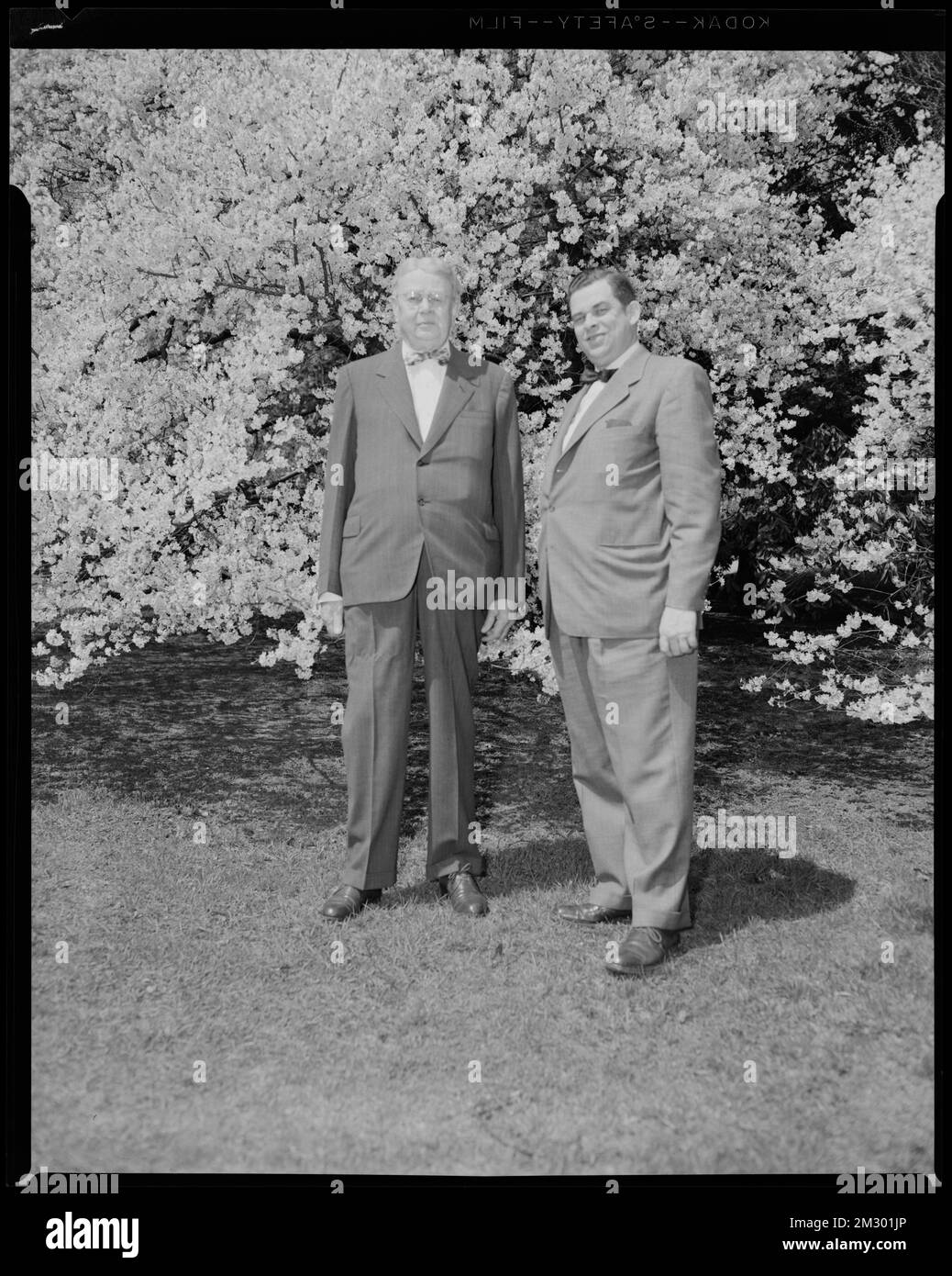 Forest Hills Cemetery. Office helps , Cherry trees, Office workers ...