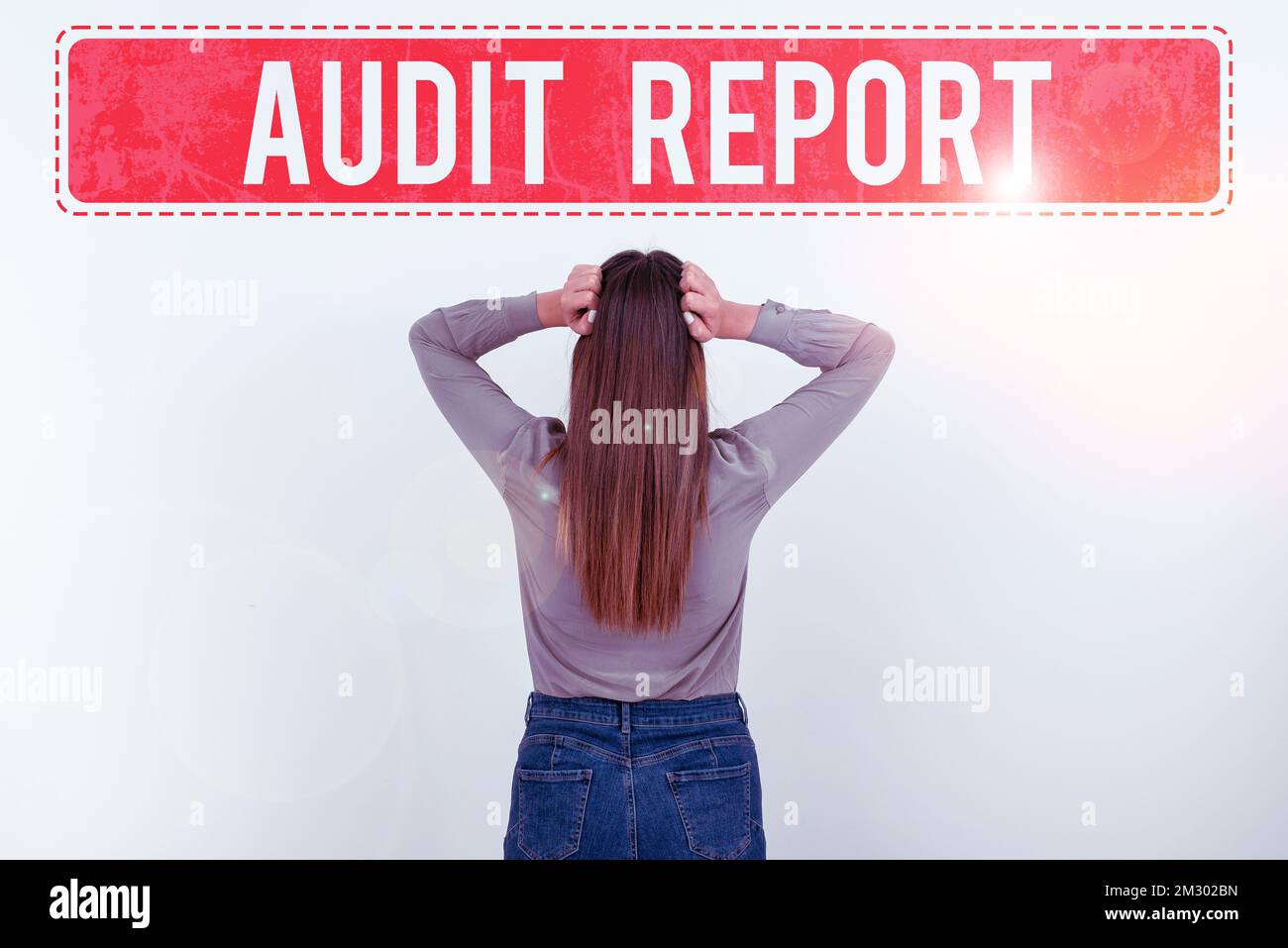 Conceptual display Audit Report. Internet Concept An appraisal of ...