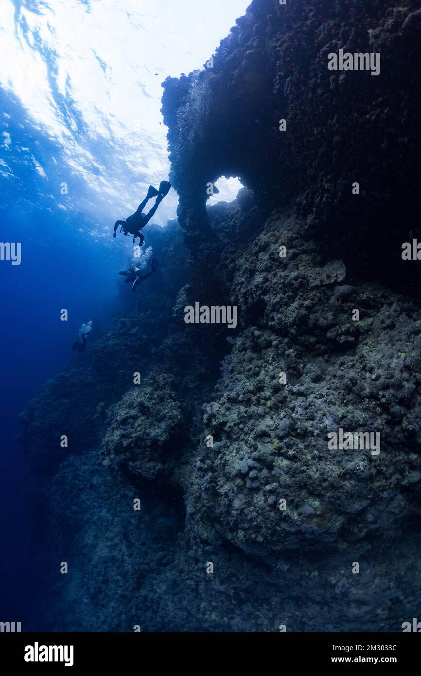 Healthy coral reef near Marsa Alam, Egypt with scuba divers in the ...