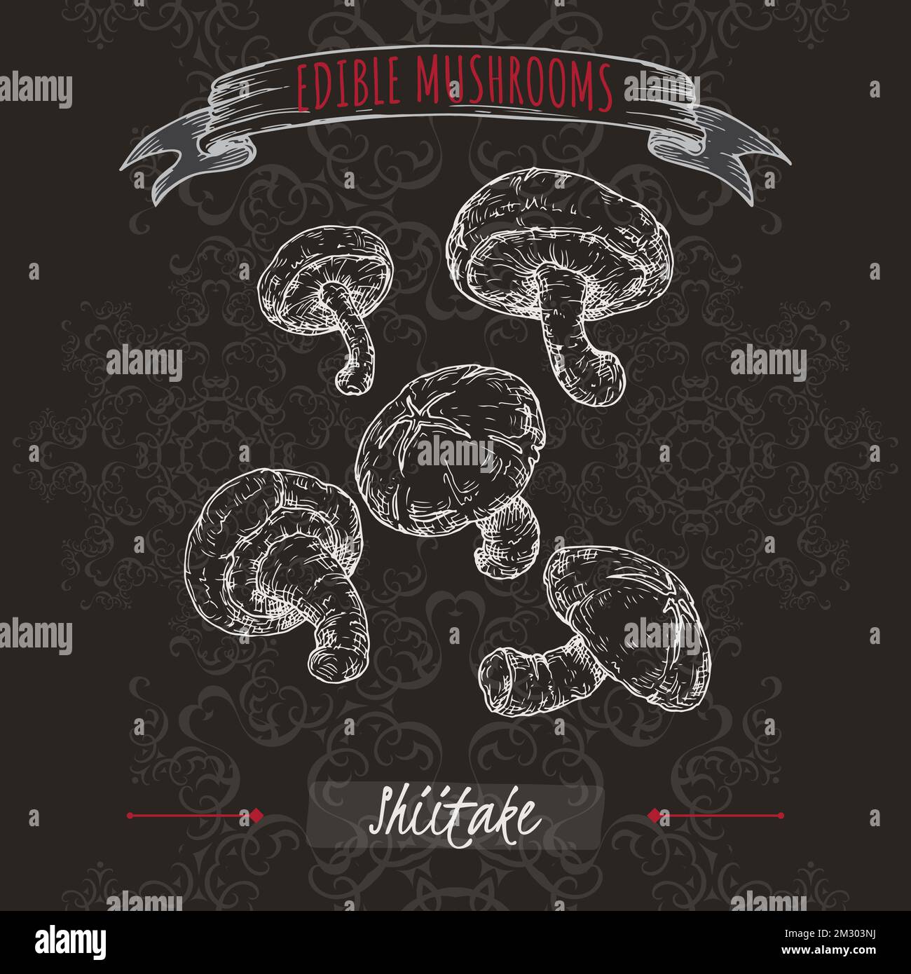 Lentinula edodes aka shiitake sketch on black background. Edible ...