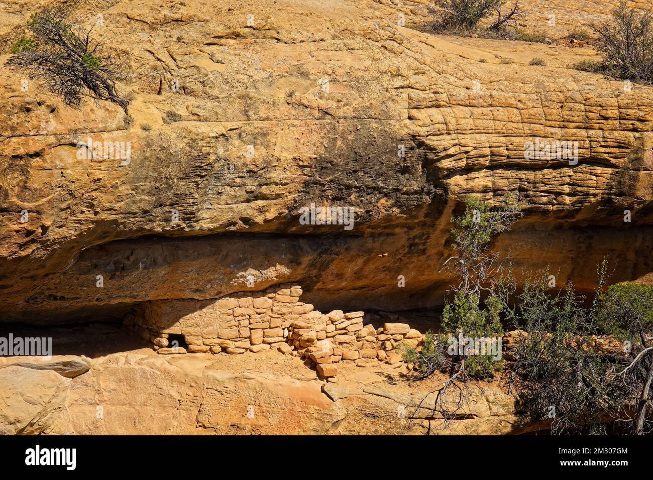 The mesmerizing Cliff Palace in Mesa Verde National Park with preserved ...