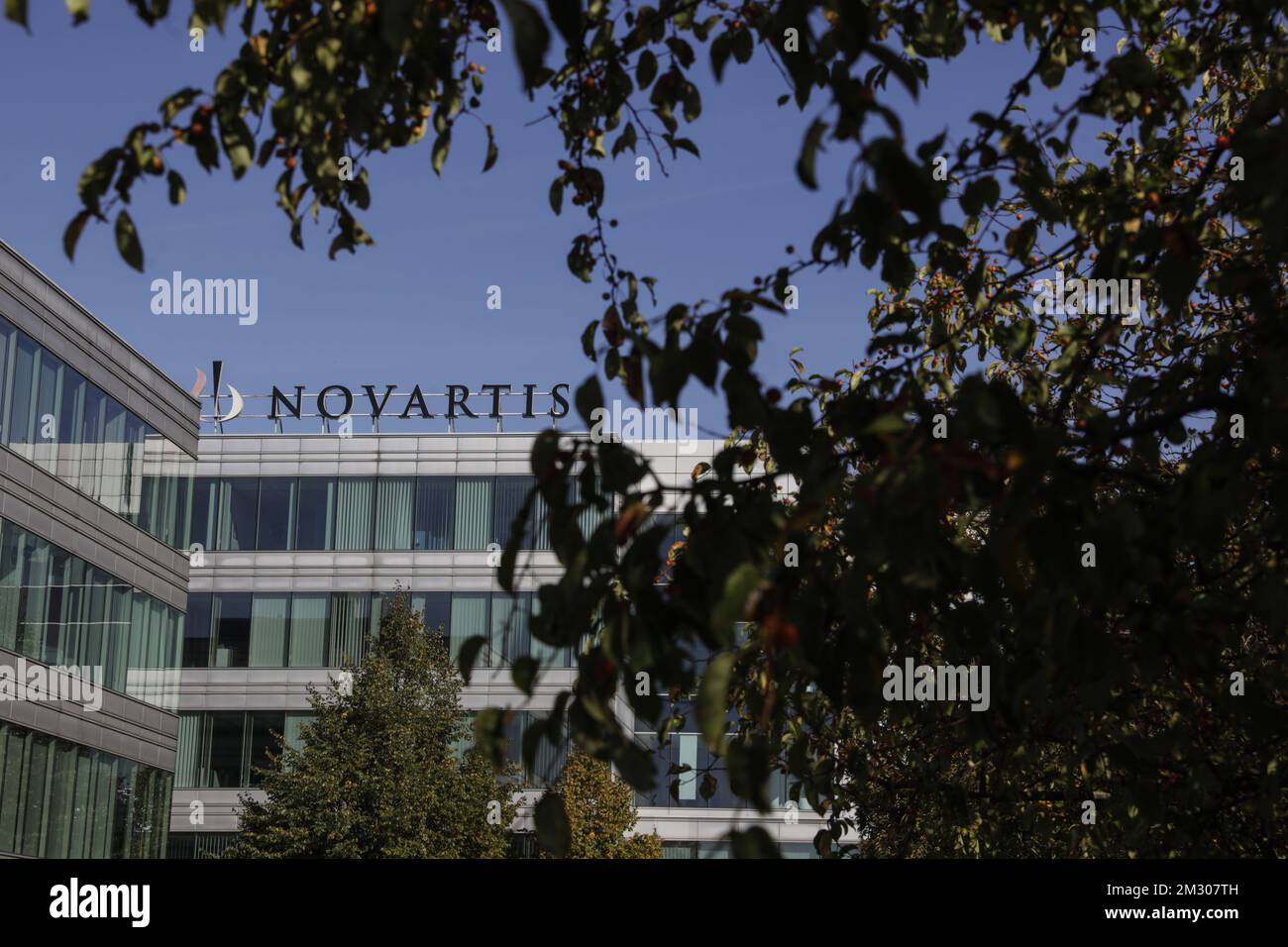 Illustration picture shows the Novartis Belgium headquarters in ...