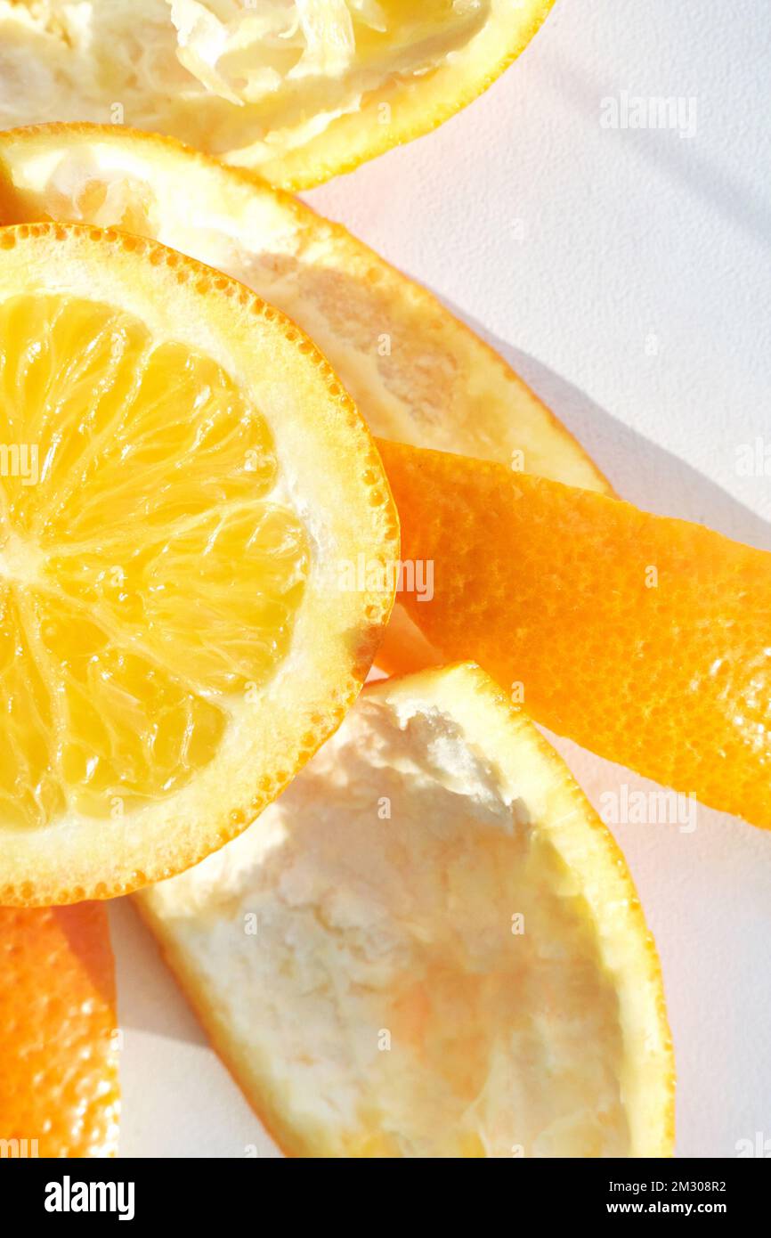 Summer coral orange slice. Citrus food diet. Fruit round juicy concept ...