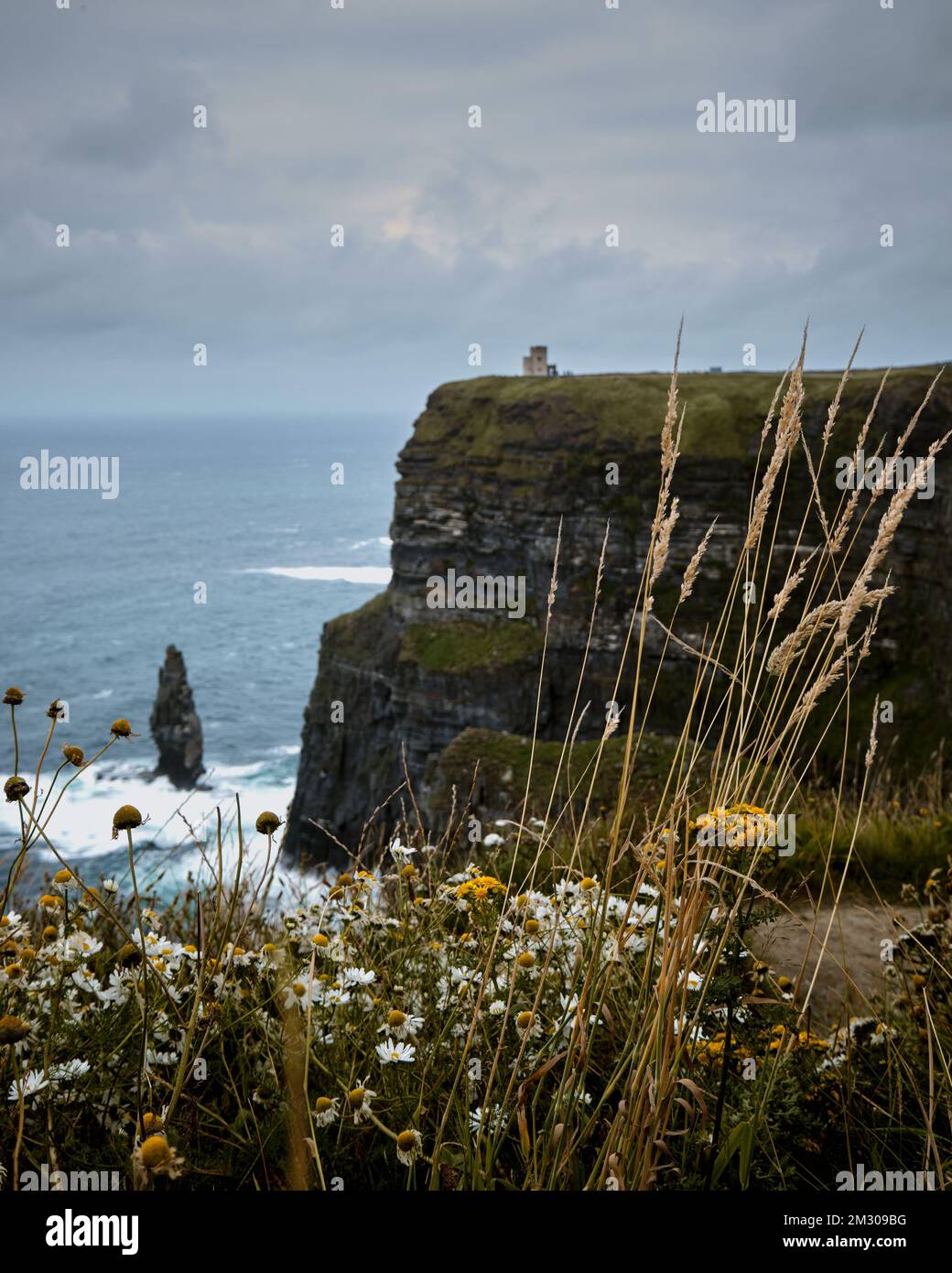 A scenic vertical view of the evergreen Cliffs of Moher in Ireland on a ...