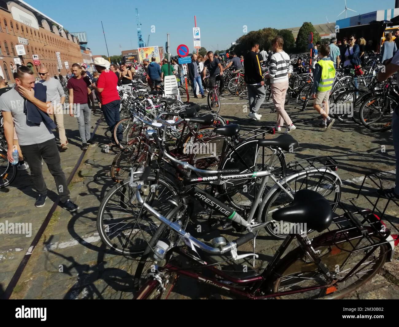 Illustration shows the Car Free Sunday in Ghent, . In several cities ...