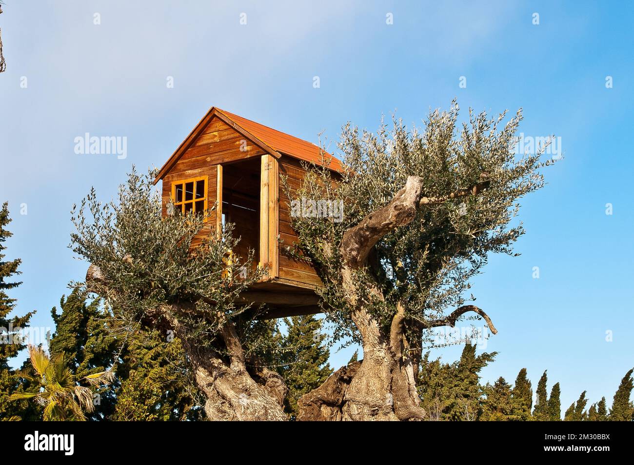 The low-angle view of a wooden cottage over an olive oil before the ...
