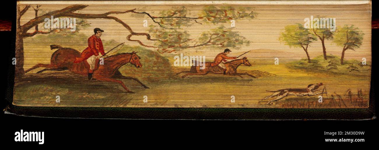 Fox hunting scene , Fox hunting, Hunting dogs Stock Photo - Alamy