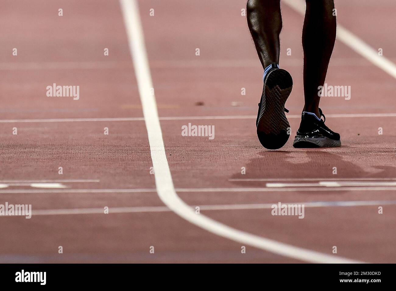 Illustration picture shows preparations before the start of the IAAF ...
