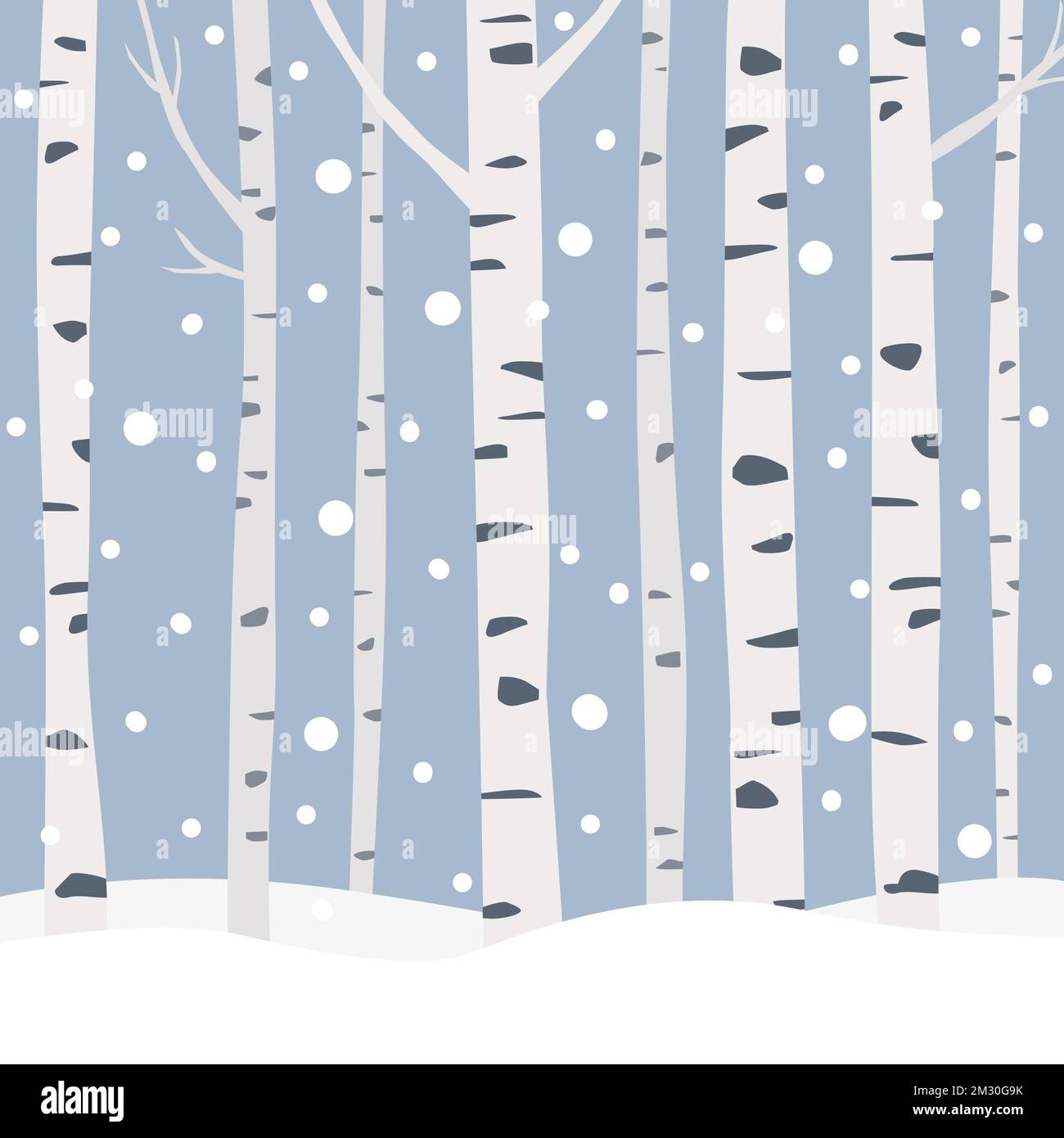 Birch woods Stock Vector Images - Alamy