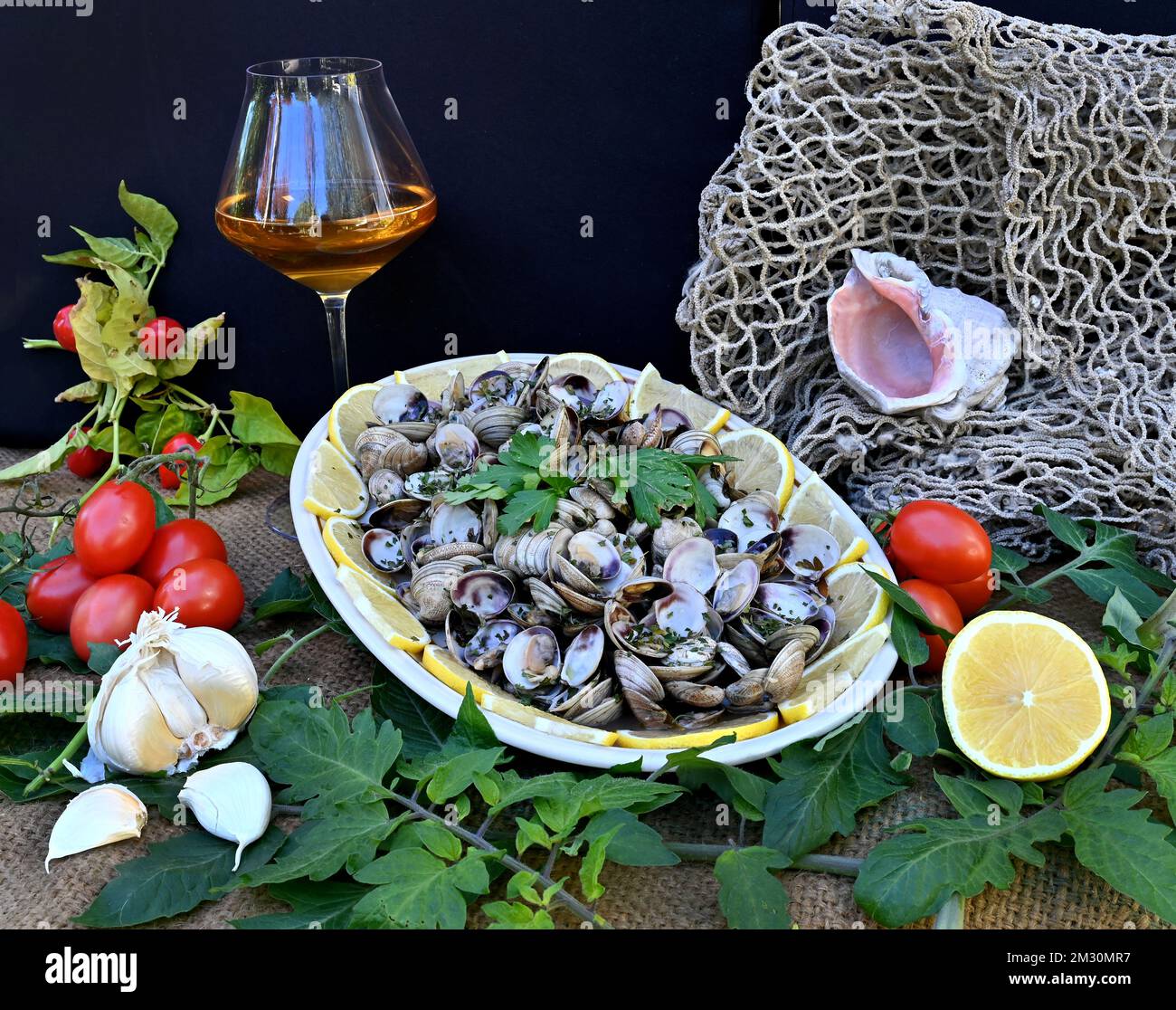 Clams composition natural hi-res stock photography and images - Alamy