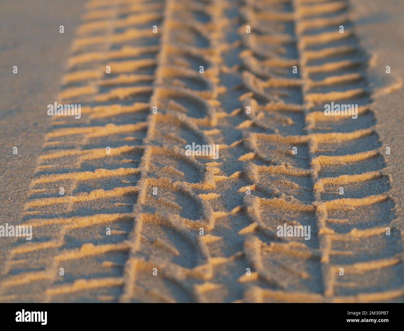 Tracks on the golden sand leading into the sea. close up Stock Photo ...