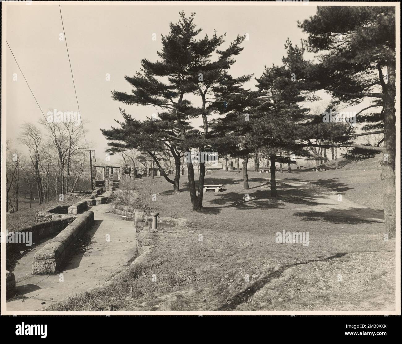 Franklin Park picnic ground , Trees, Picnic grounds. Leon Abdalian ...