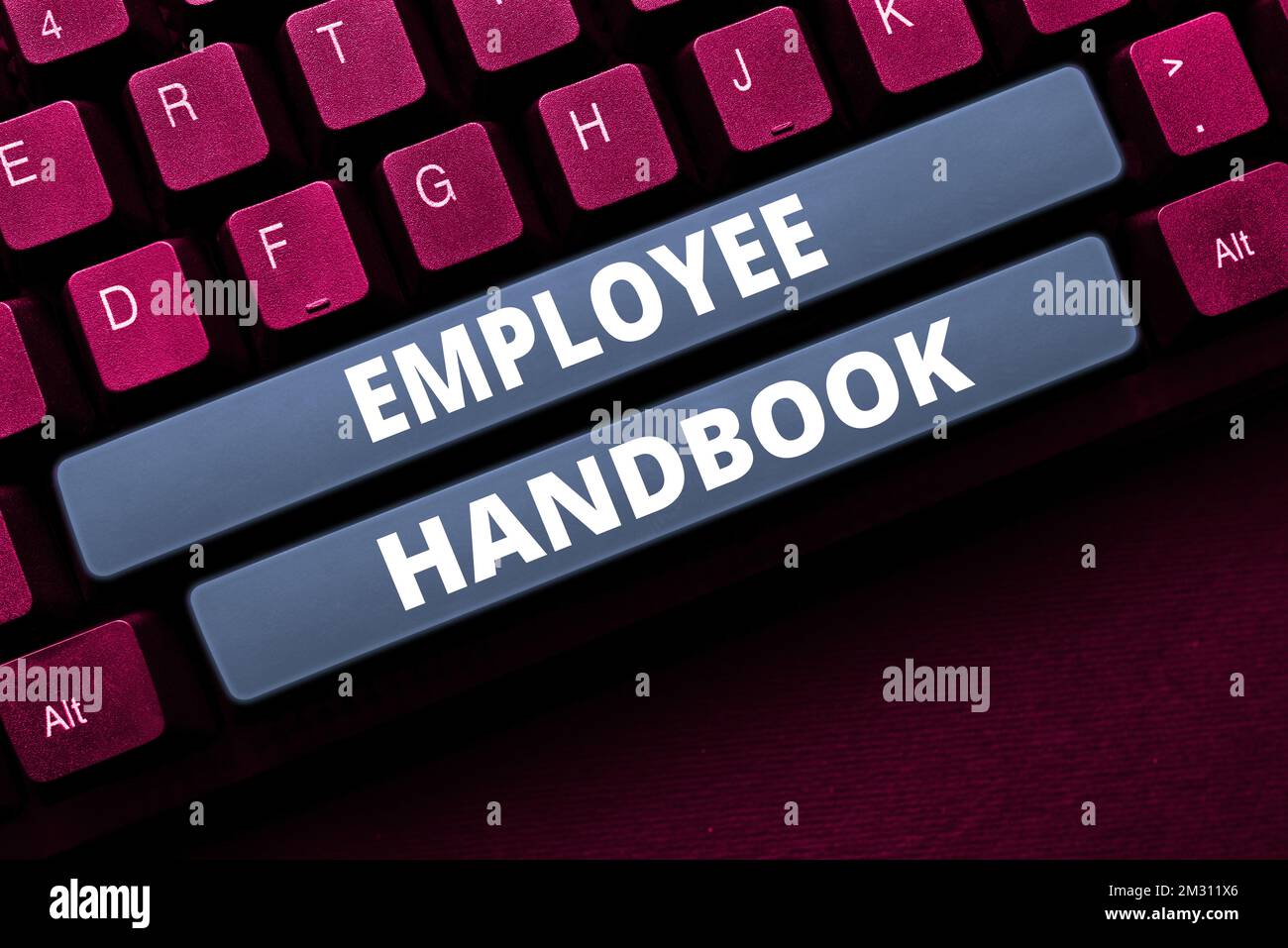 Writing displaying text Employee Handbook. Business approach Document ...