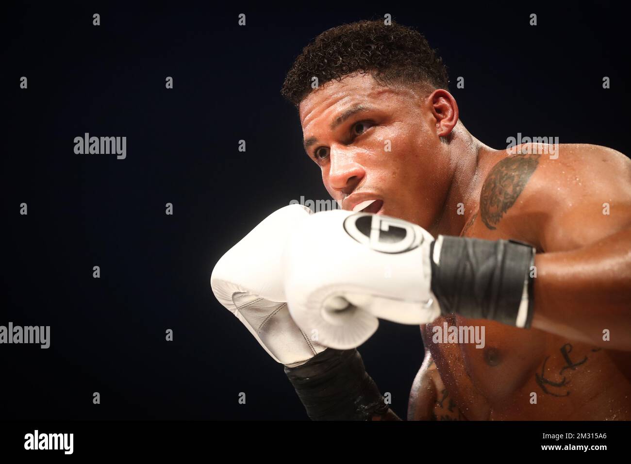 Belgian Ryad Merhy pictured during a boxing fight between Belgian Ryad ...