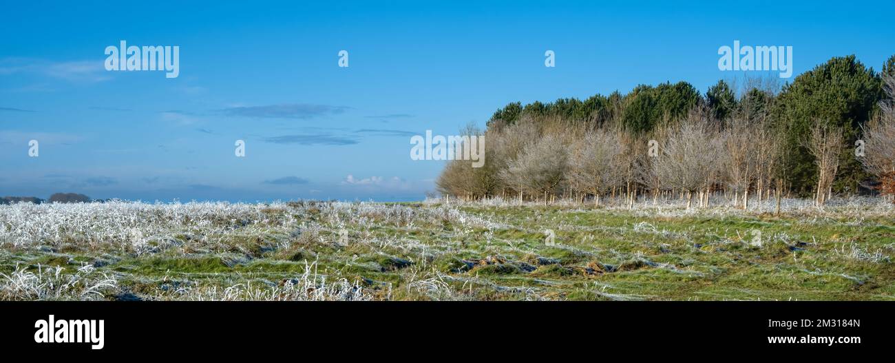 beautiful winter fall scene with a cover of icy frost across wintyer ...