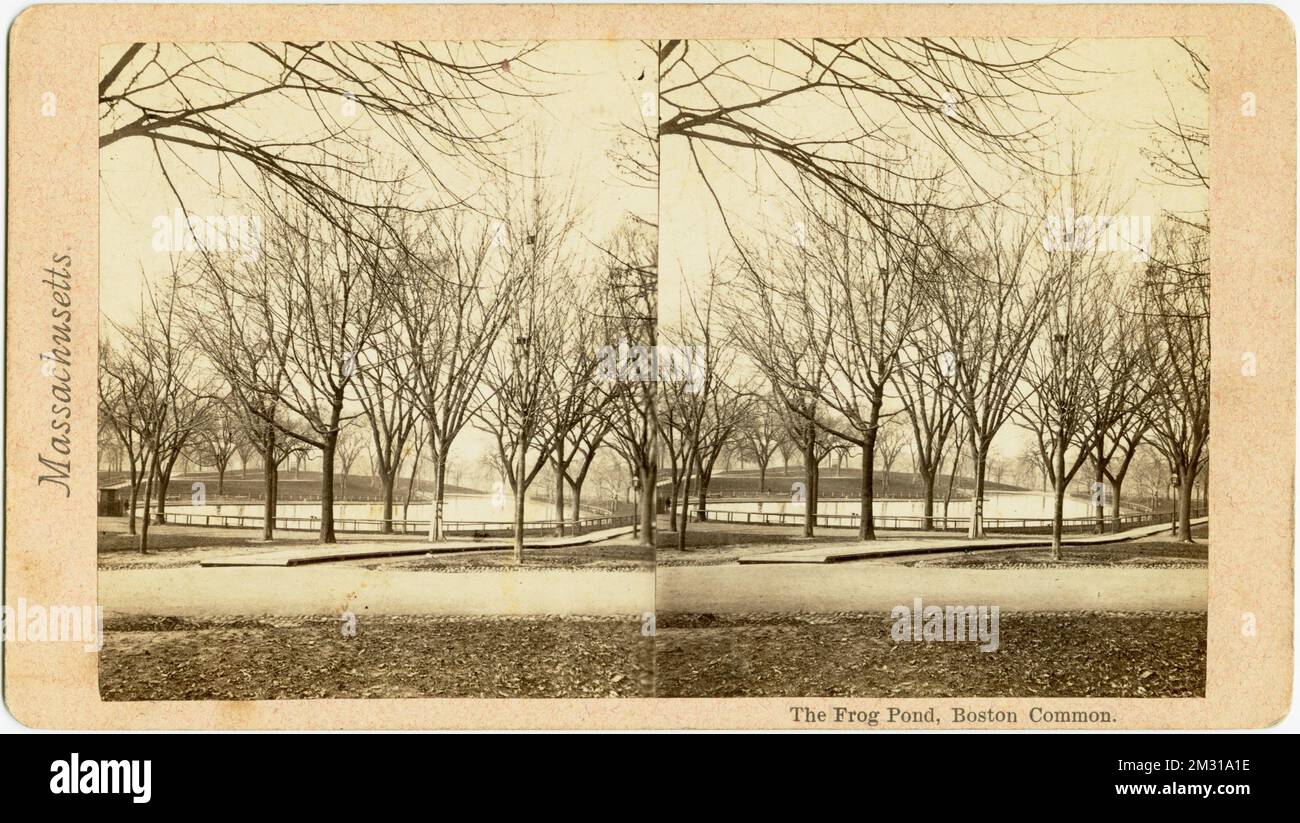 The Frog Pond, Boston Common , Parks, Lakes & ponds Stock Photo - Alamy