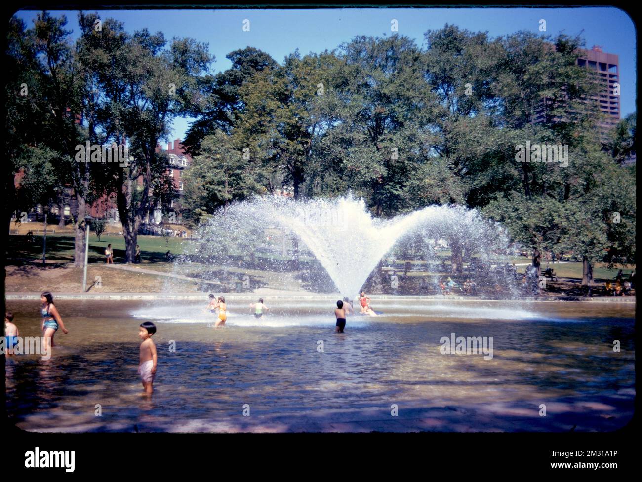 Frog Pond, Boston Common , Lakes & ponds, Parks. Edmund L. Mitchell ...