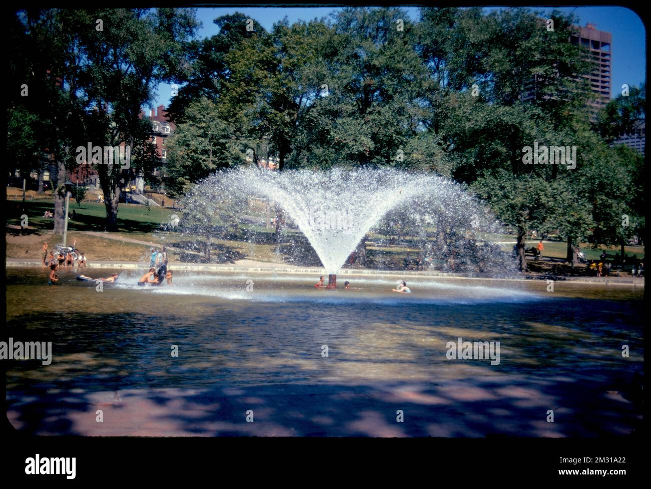 Frog Pond, Boston Common , Lakes & ponds, Parks. Edmund L. Mitchell ...