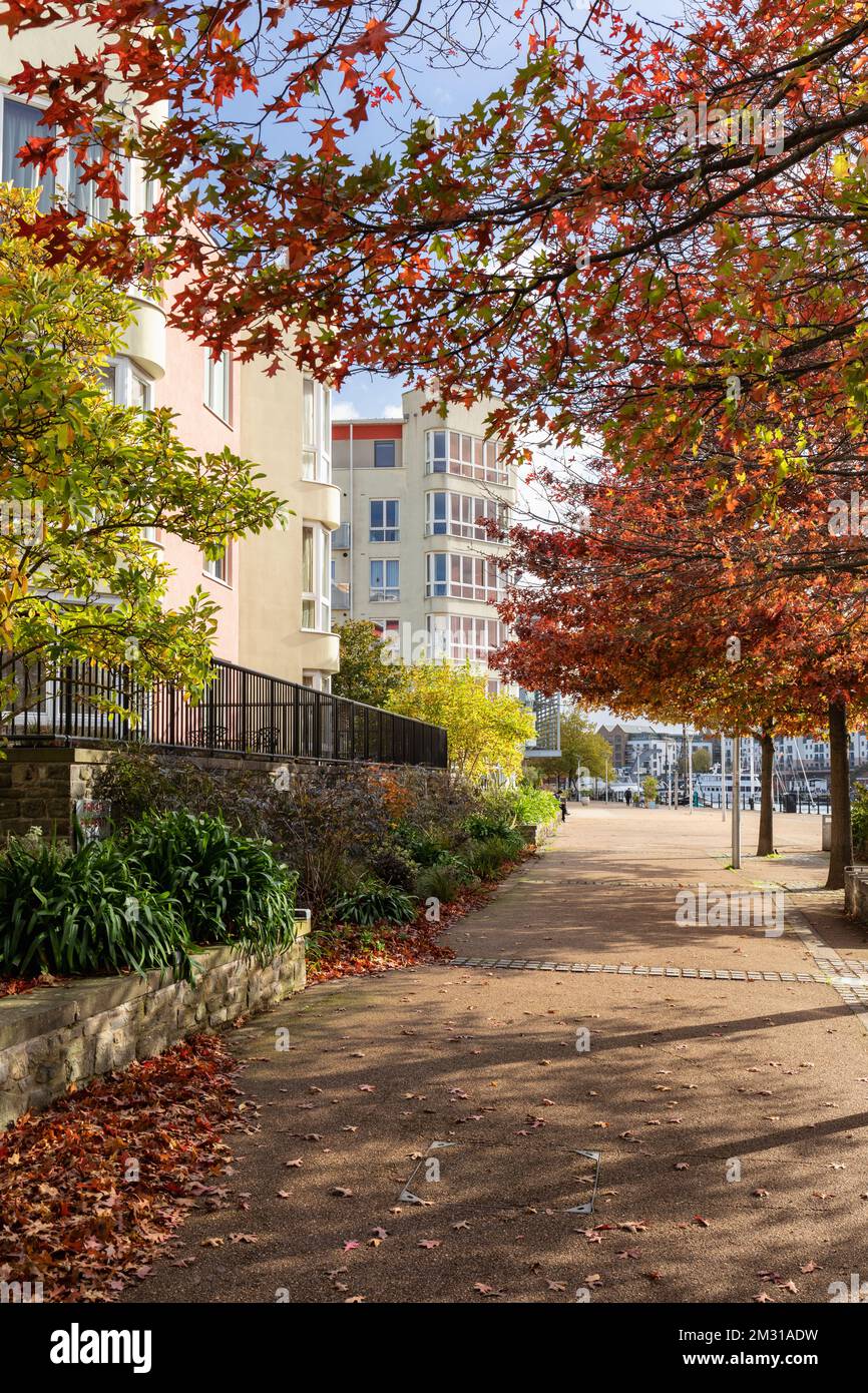 Picturesque pedestrian walkway in autumn, Hannover Quay, Bristol's ...