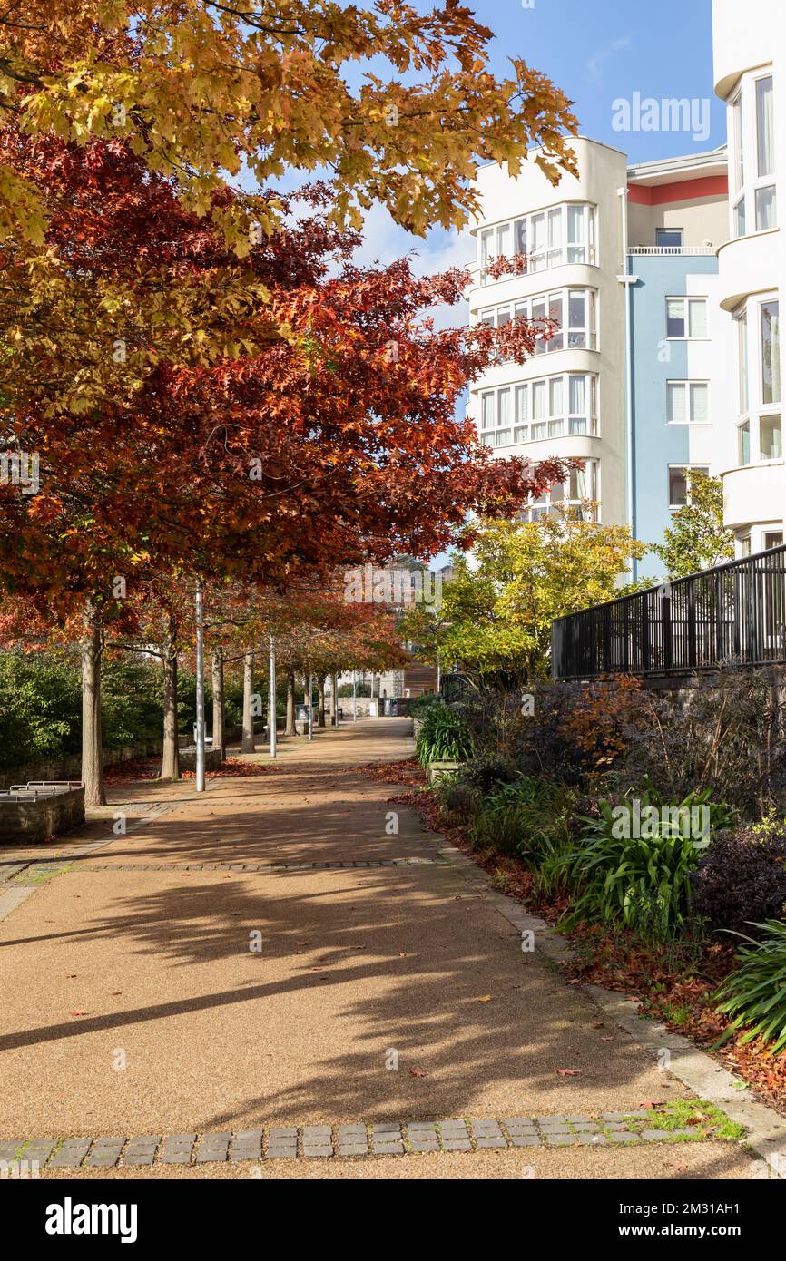 Picturesque pedestrian walkway, Hannover Quay, Bristol's floating ...
