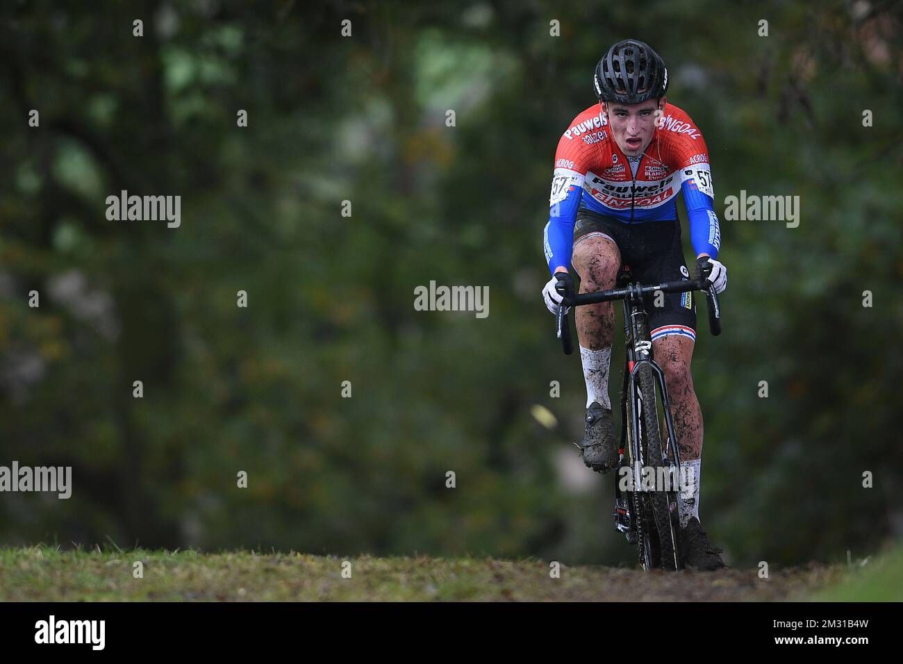dutch Ryan Kamp pictured in action during the Koppenbergcross U23 race ...