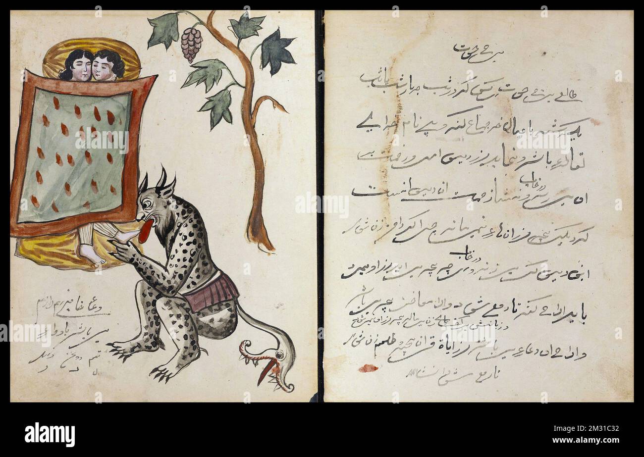 Persian zodiac animals 60 photos - Youhoroscope.com