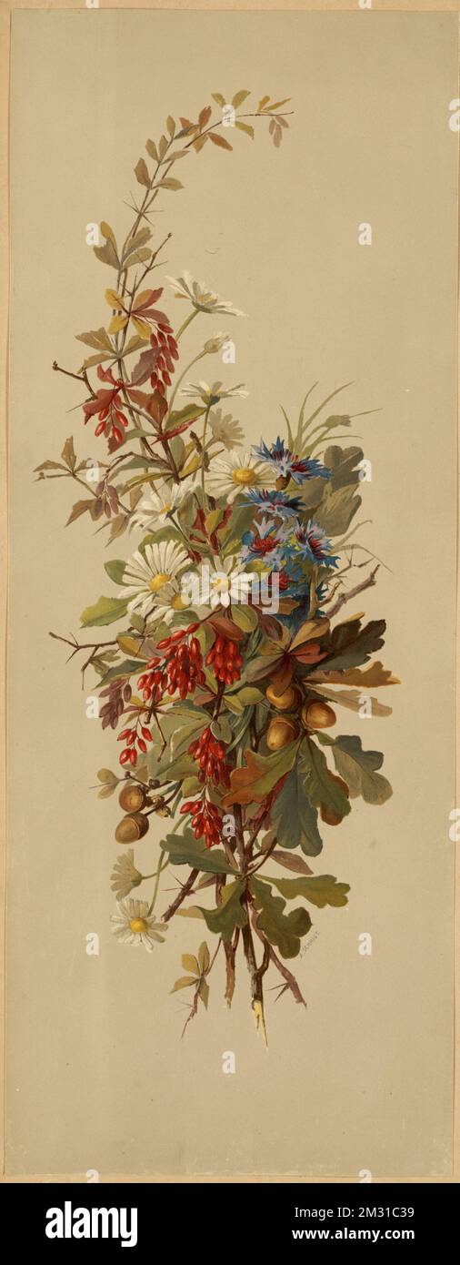 From field and wood , Leaves, Berries, Flowers, Acorns. Louis Prang ...