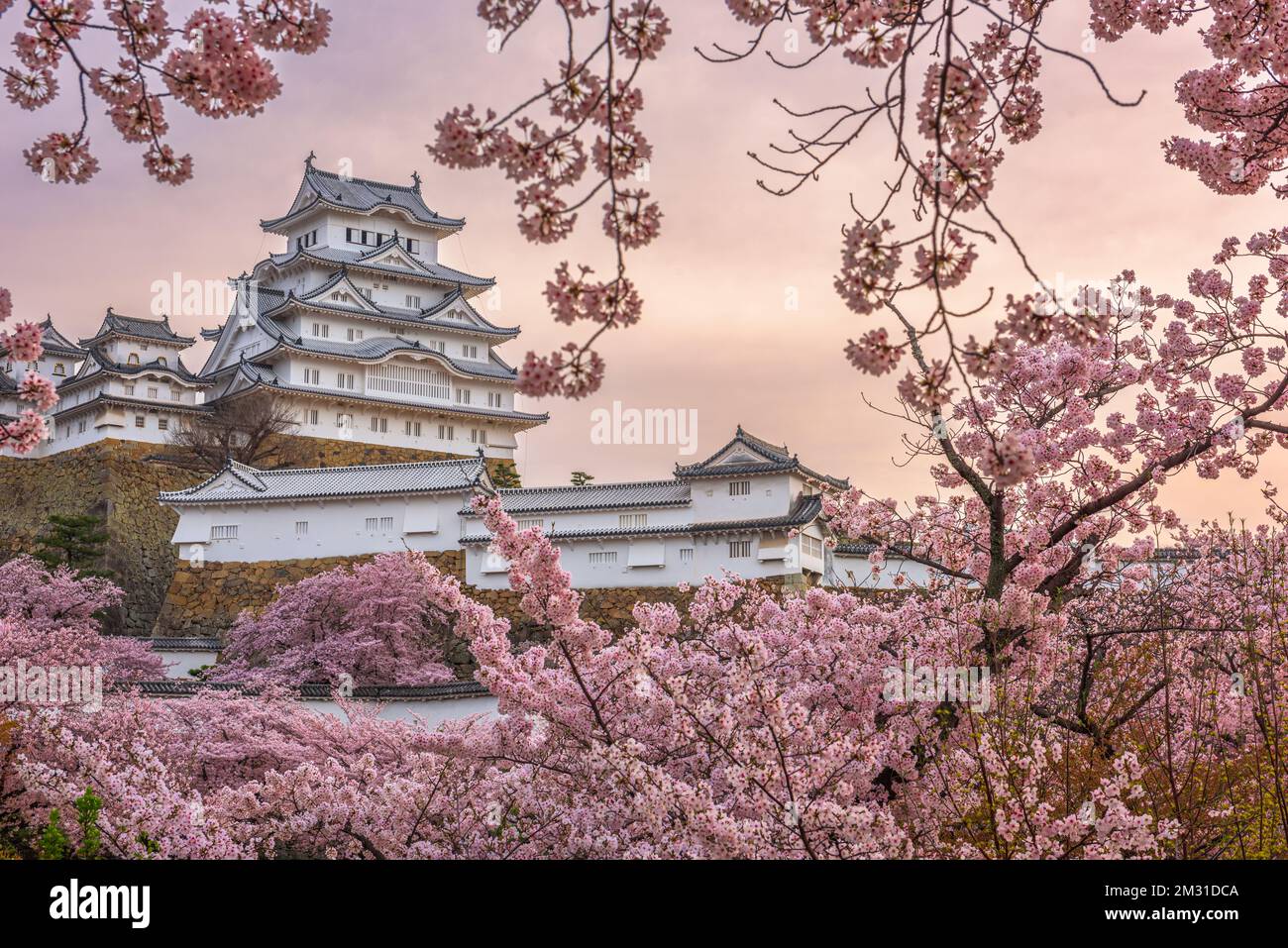 Himeji, Japan at Himeji Castle during spring cherry blossom season ...