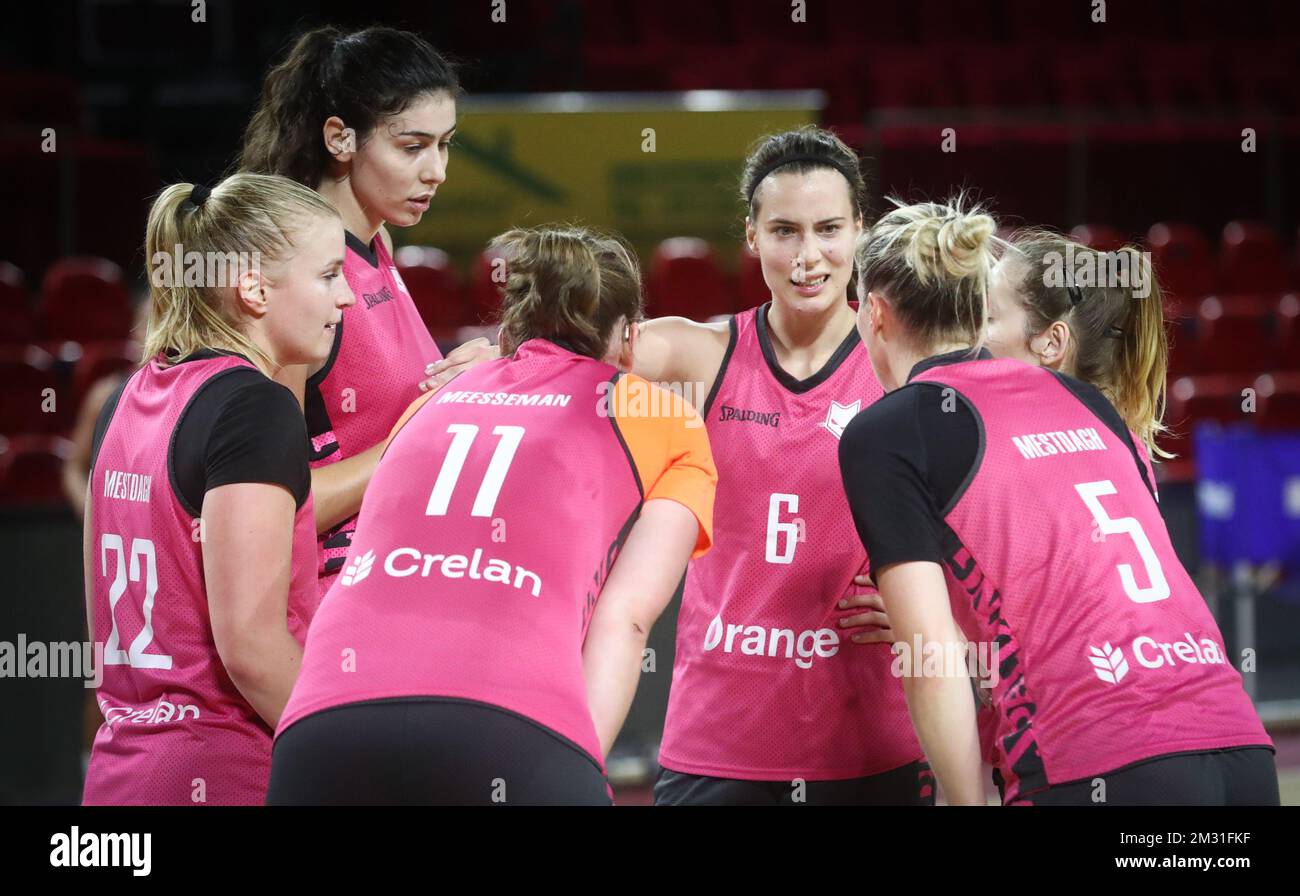 Belgian Cats Hanne Mestdagh, Belgian Cats Serena-Lynn Geldof, Belgian ...