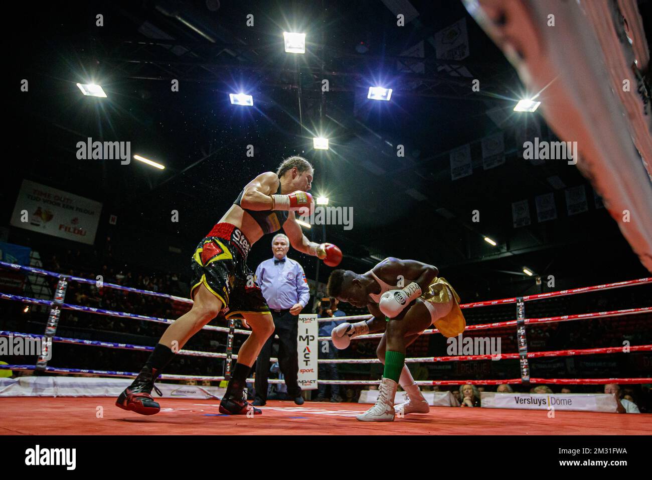 Illustration picture shows the fight between Belgian Delfine Persoon ...