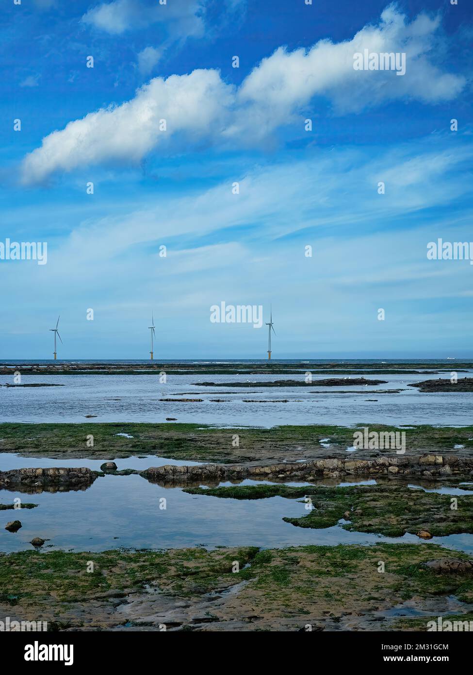 Sea weed strewn rock pools ahead of a near-shore wind farm in North ...