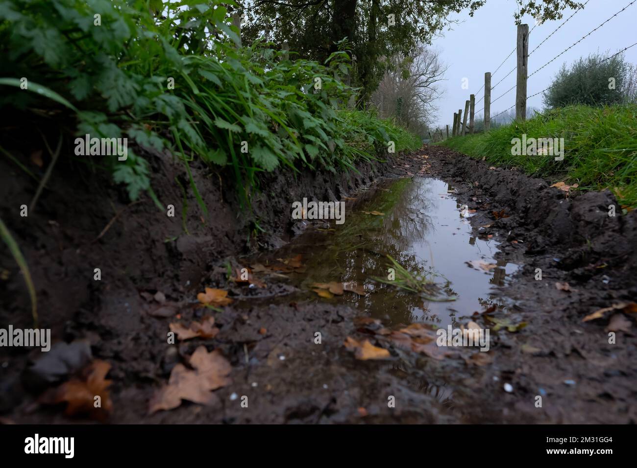Illustration picture shows a muddy track, during autumn on the ...