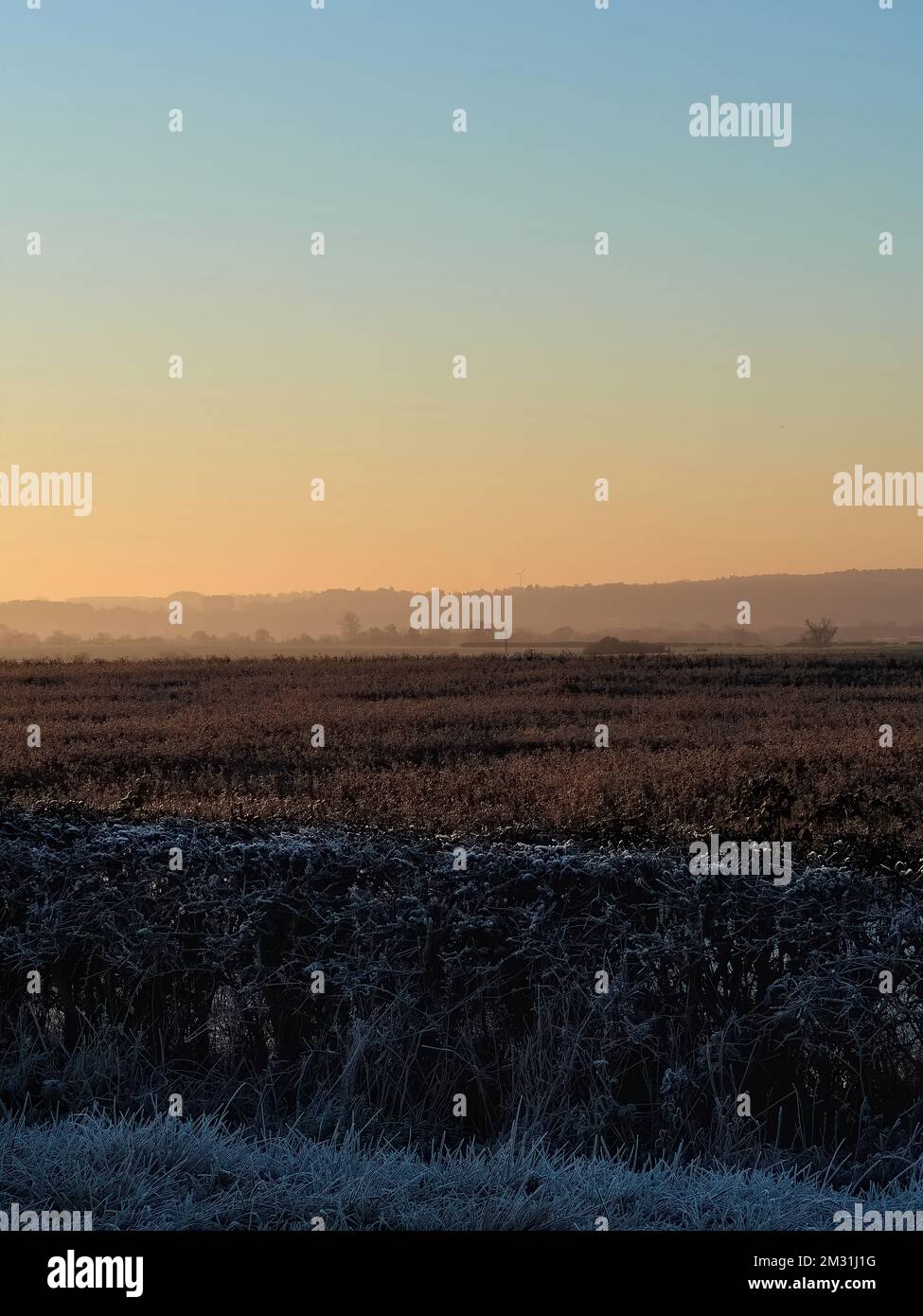 Dawn sunlight casts long shadows across a muted, frost and mist ...