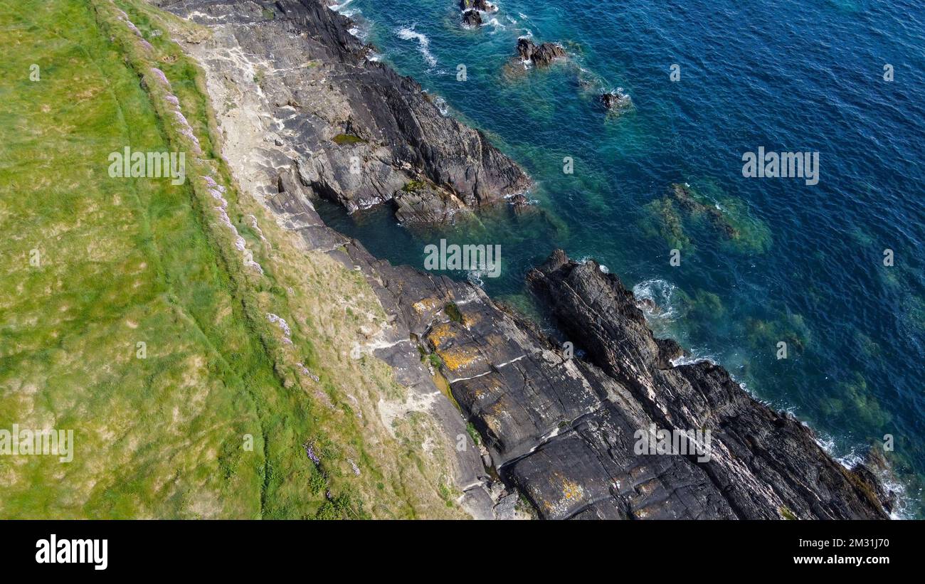 Dense thickets of grass on the shore. Grass-covered rocks on the ...