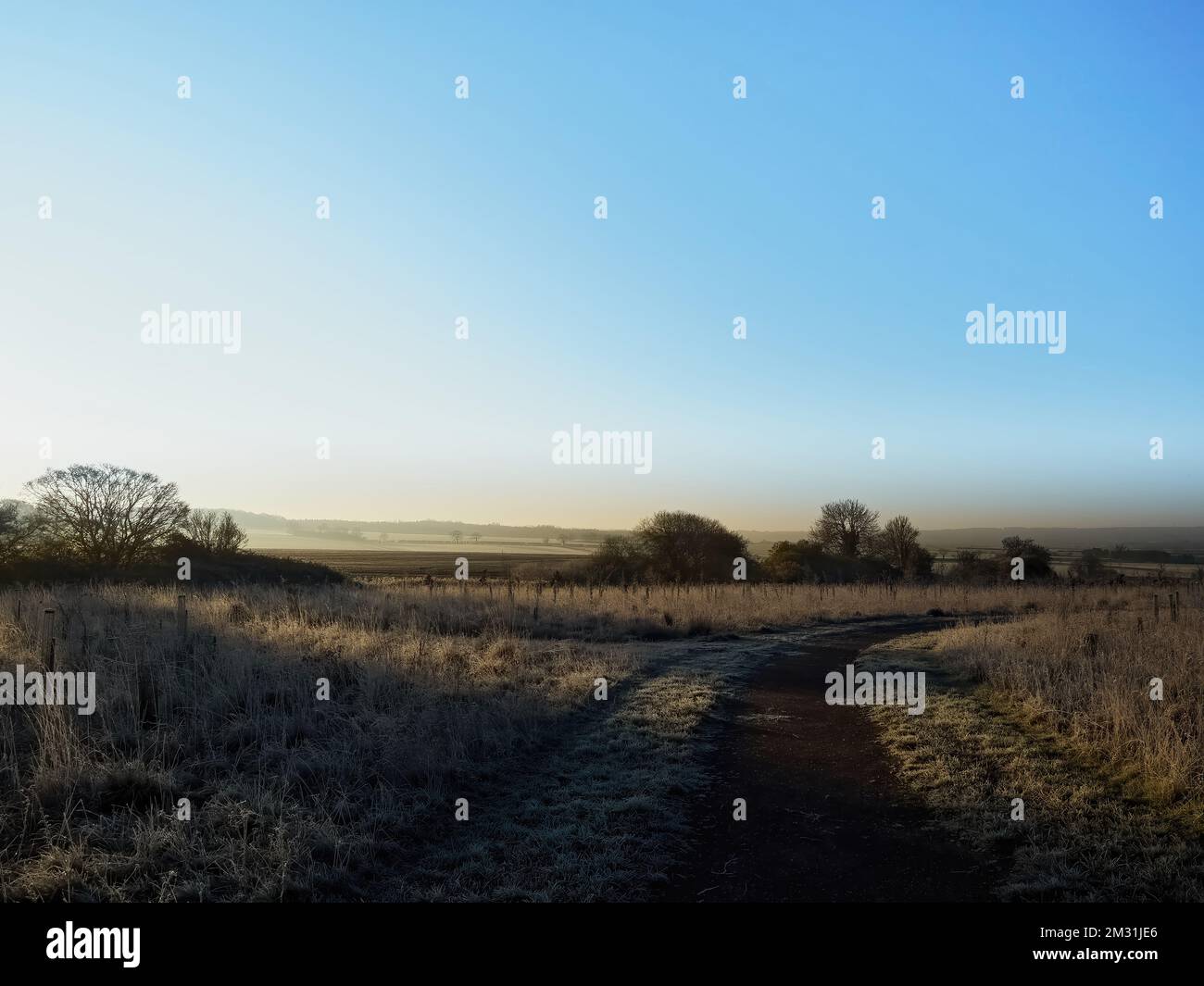 Dawn sunlight casts long shadows across a muted, frost and mist ...