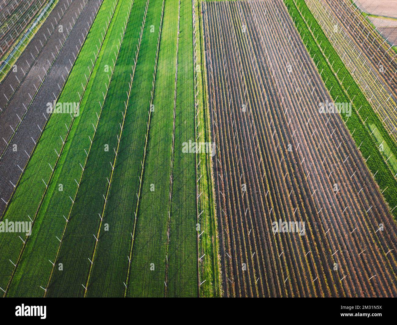 Aerial view agricultural field trees hi-res stock photography and ...