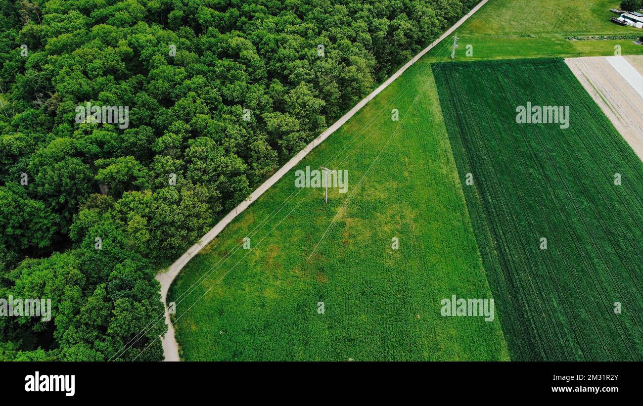 An aerial view of green grass field at daytime Stock Photo - Alamy