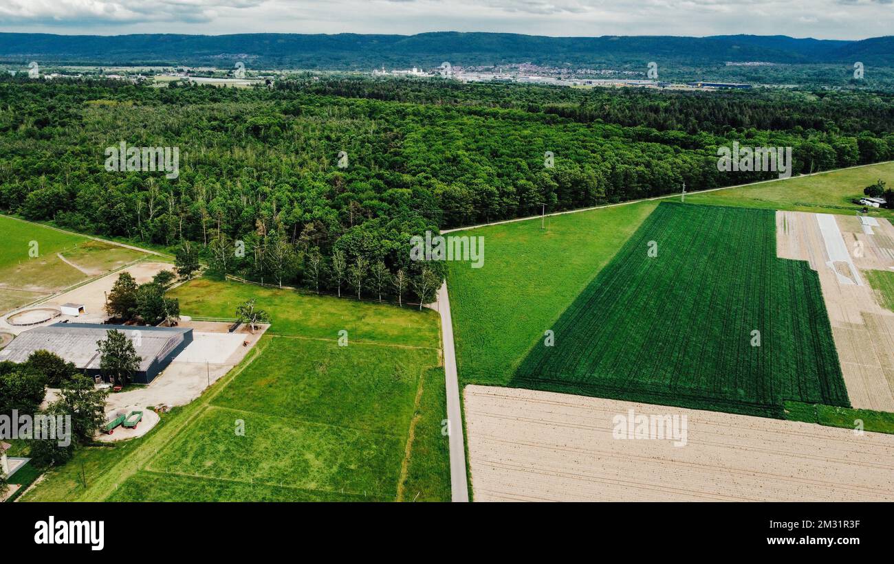 An aerial view of green grass field at daytime Stock Photo - Alamy