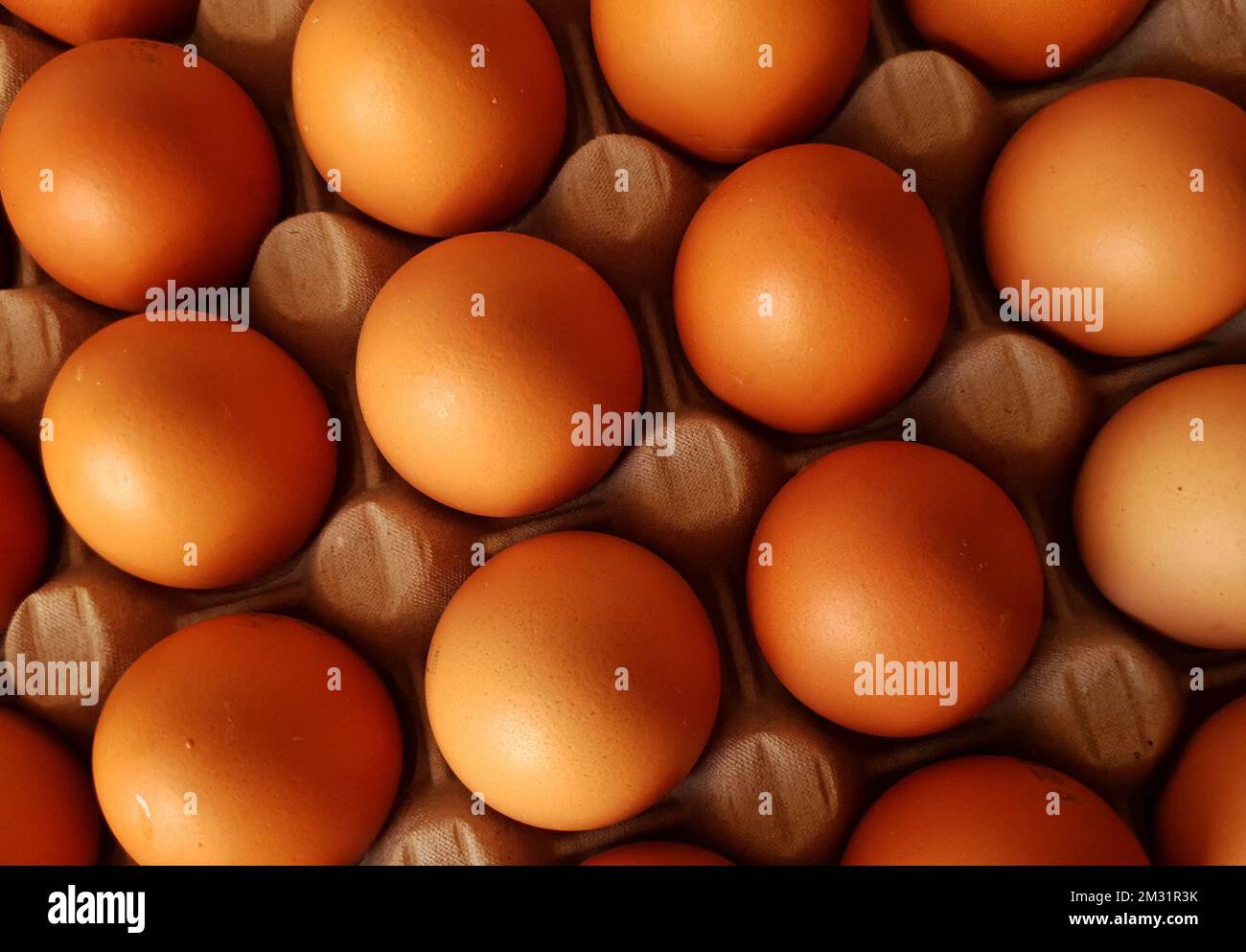 a close-up of eggs in the formwork Stock Photo - Alamy