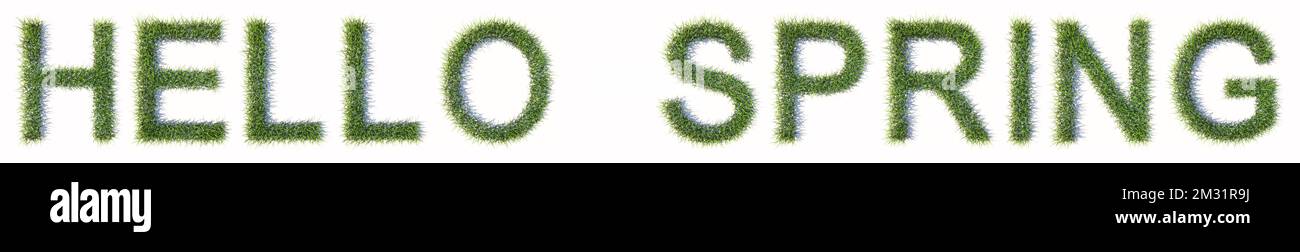 Concept or conceptual green lawn grass forming the HELLO SPRING text ...