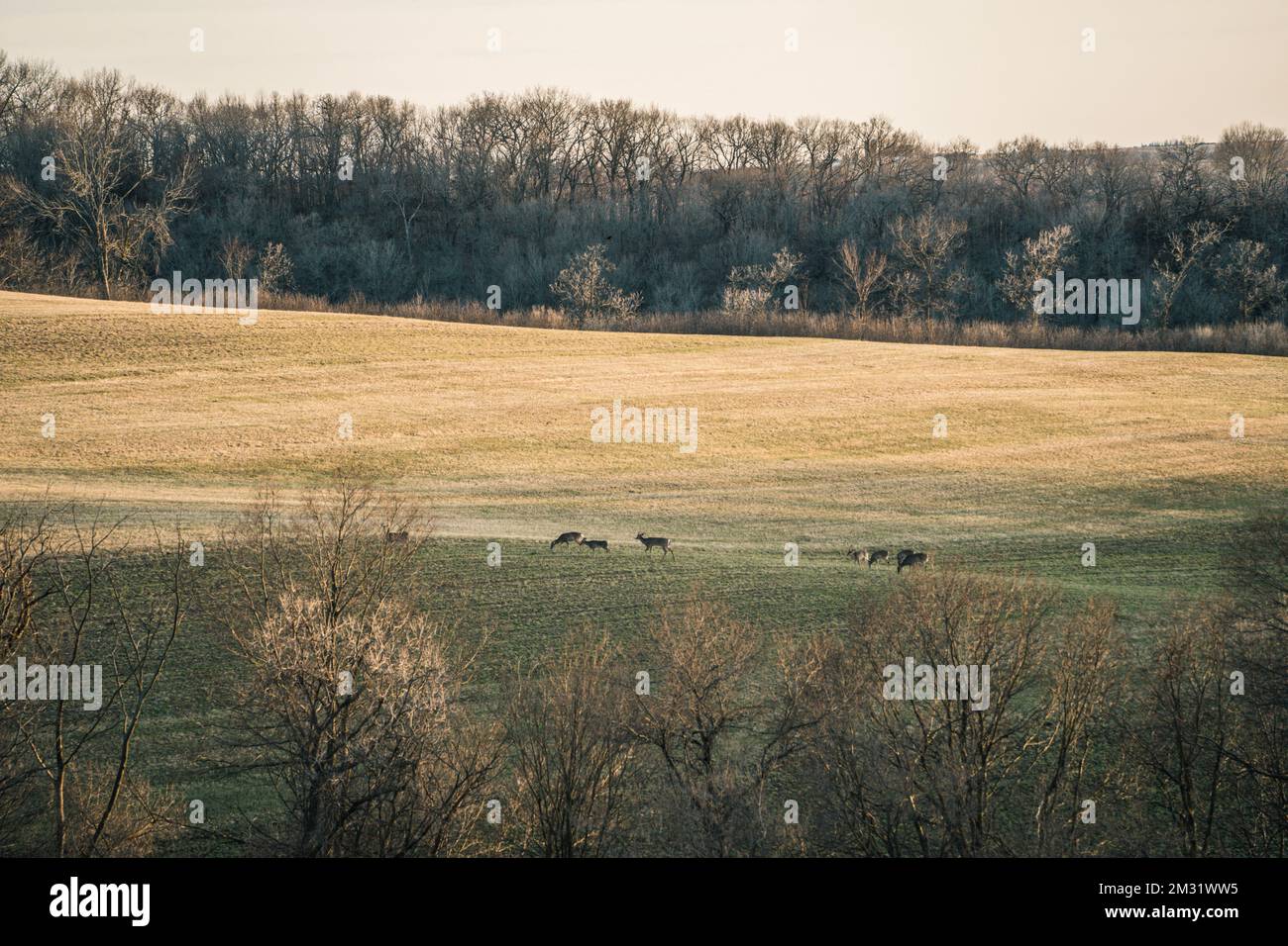 Midwest field hi-res stock photography and images - Alamy