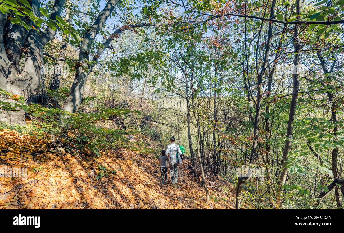 A mother with a son walking along a path in the forest Stock Photo - Alamy